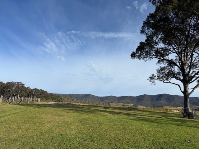 Bonvilla Estate – Van Haven Adventures